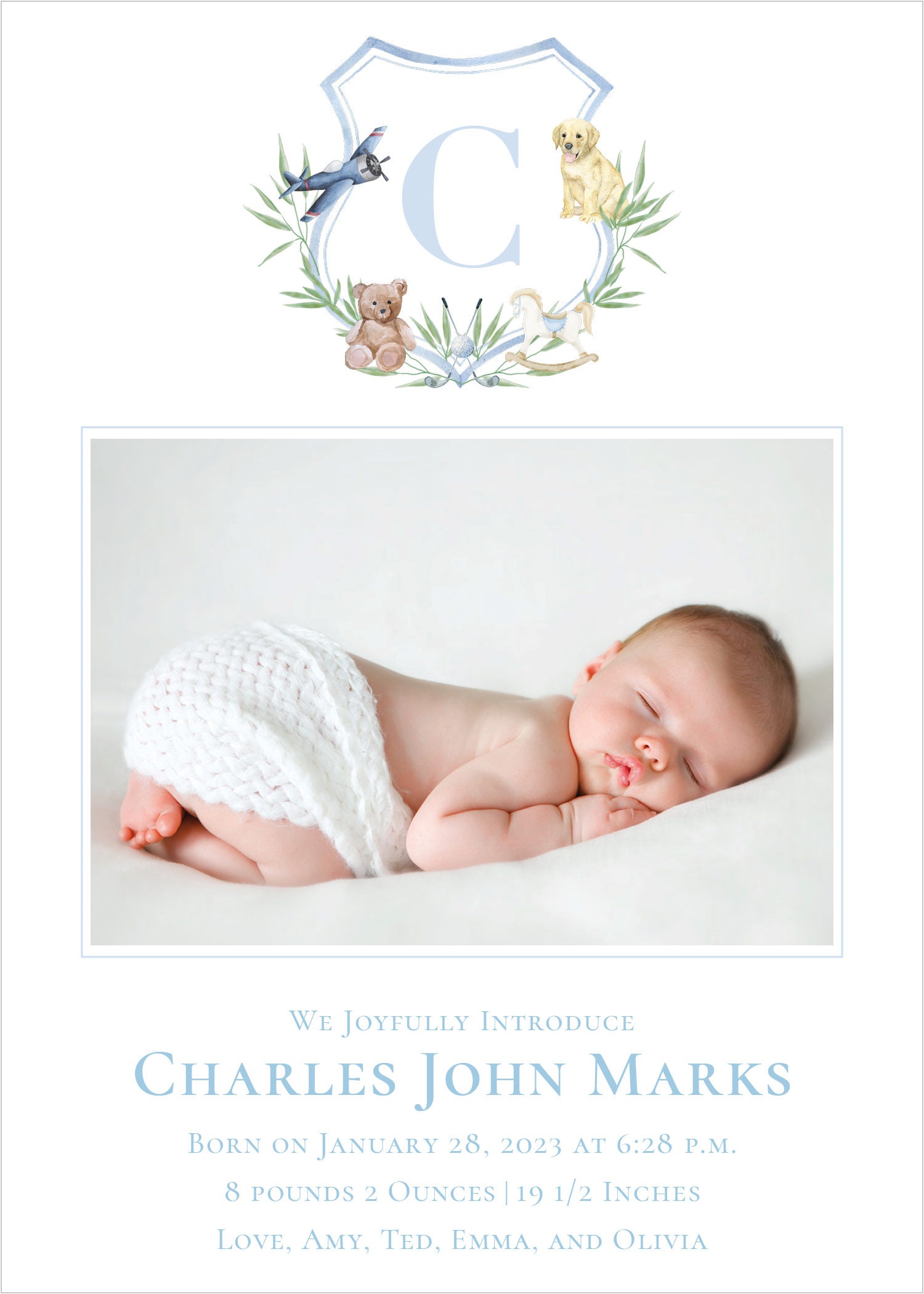 Watercolor Crest Baby Birth Announcement / Gingham / Classic / - Etsy