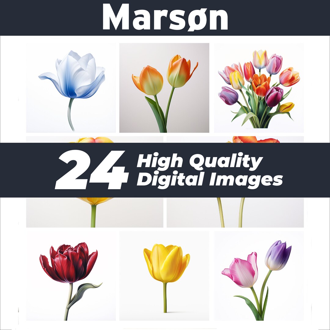 Tulip Clipart Bundle, Spring Floral PNG, Commercial Use (digital ...