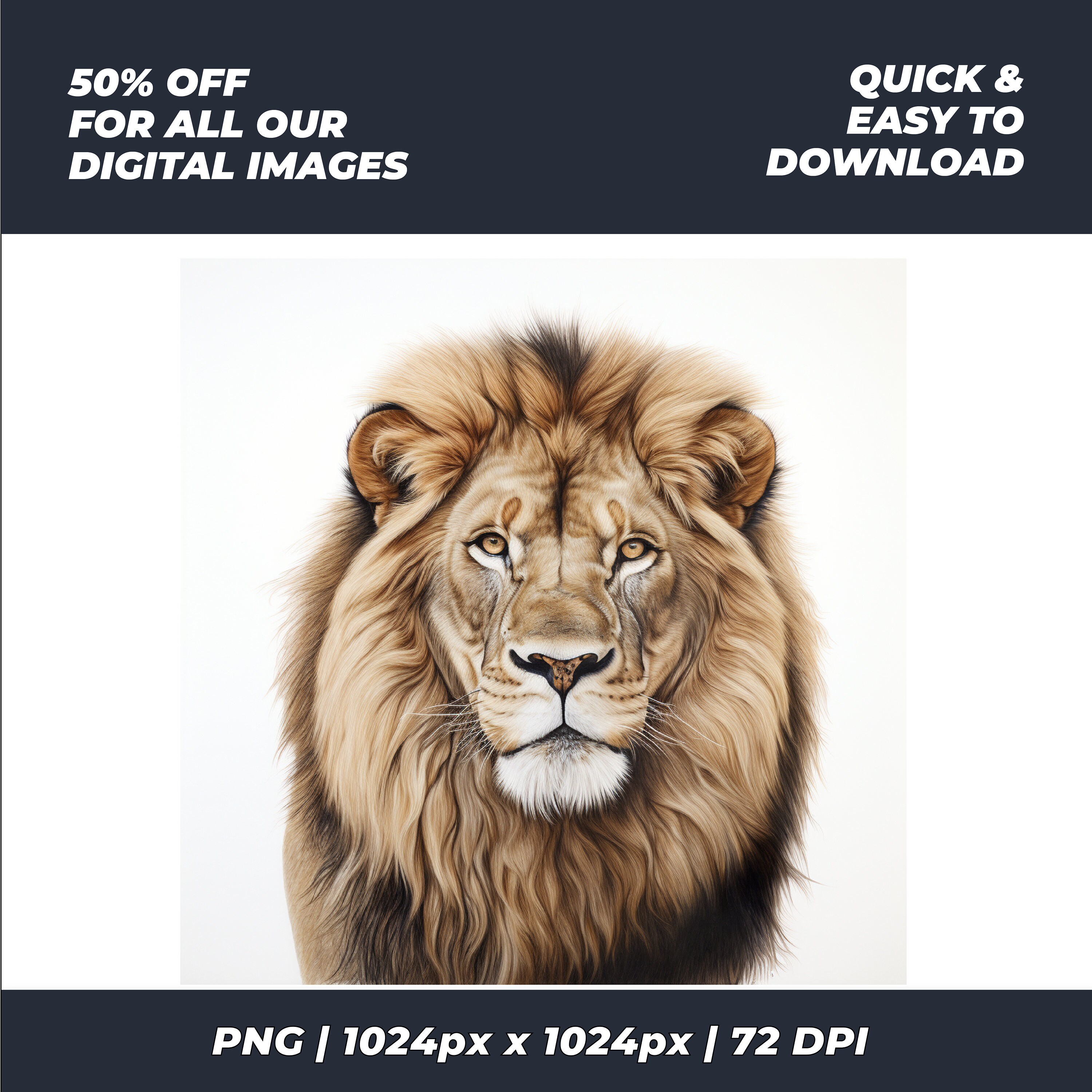 Big Wild Cats, 45 IMAGES of Wild Cats, Tigers Clipart, Lions, Female ...