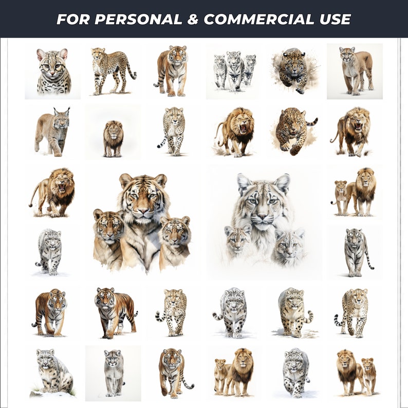 Big Cats Clipart Bundle, Lion, Tiger, Lynx, Cheetah (digital Download ...