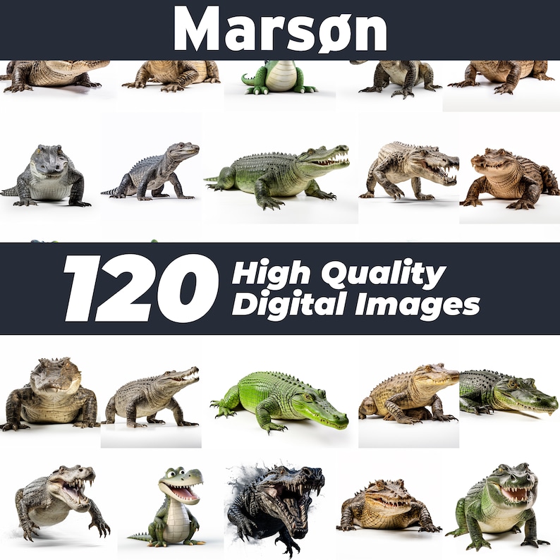 Alligator Clipart, Crocodile Png, Caiman Crocodile Png, Crocodile ...