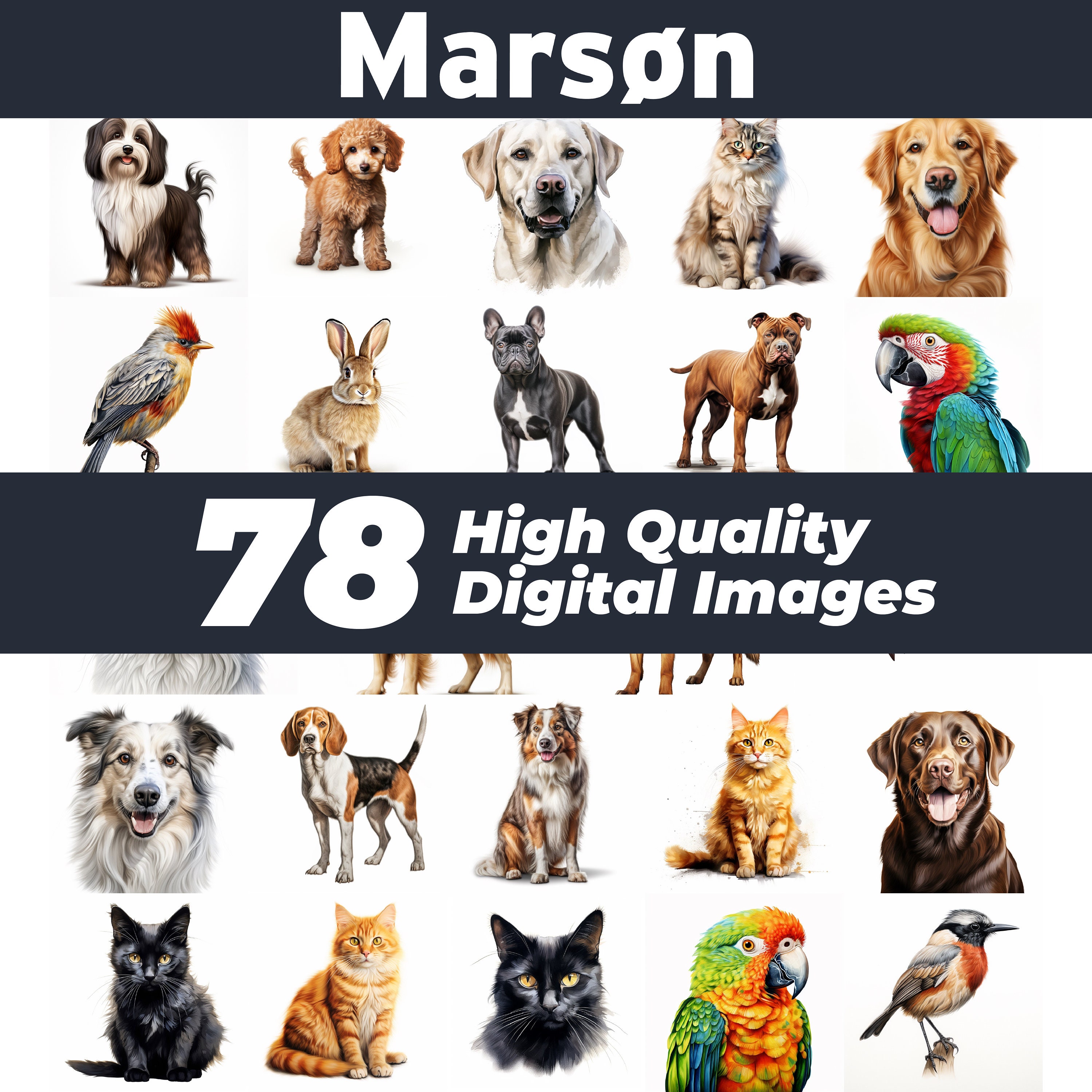 Cute Pets, Dog PNG, Cat Clipart - Furry Friends, Joyful Companions ...