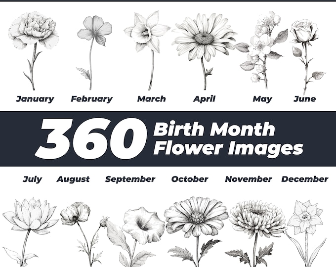 Birth Flowers Bundle - 36 PNG, SVG, JPG Watercolor Flowering Birth ...