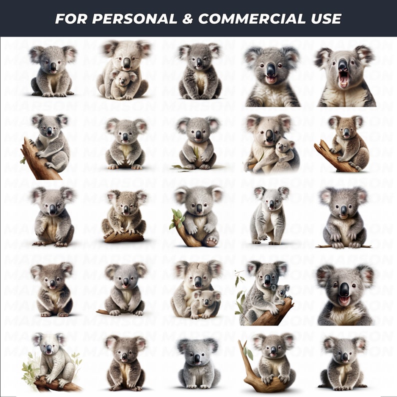 Koala Clipart, Koala Png, Watercolor Koala, Koala Svg, Australian ...