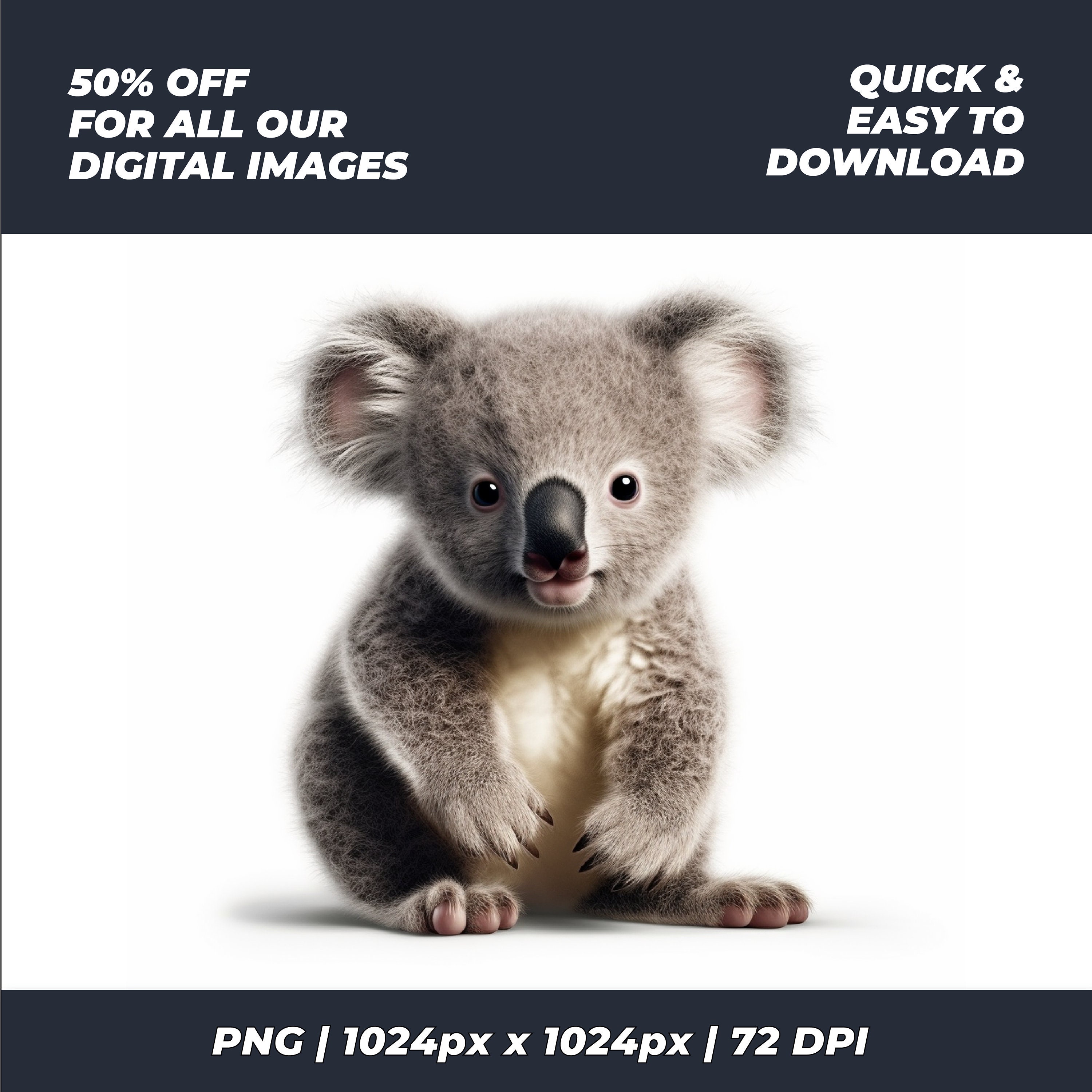 Koala Clipart, Koala Png, Watercolor Koala, Koala Svg, Australian ...