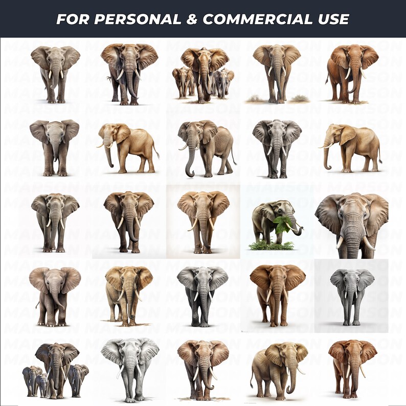 Elephants Clipart, Clipart Elephant Images, Cute Elephant Clipart, Cute ...