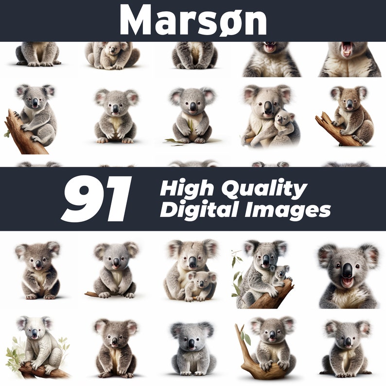 Koala Clipart, Koala Png, Watercolor Koala, Koala Svg, Australian ...