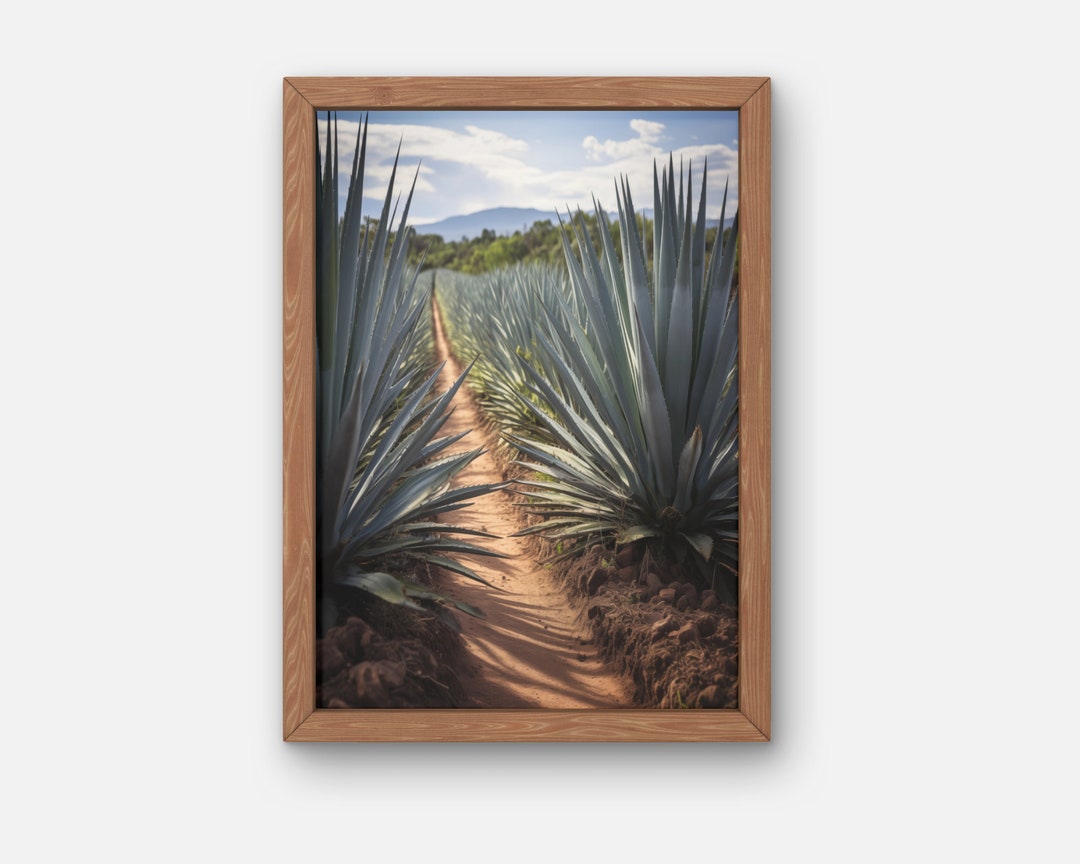 Agave Field Art Print - Instant Download - Etsy