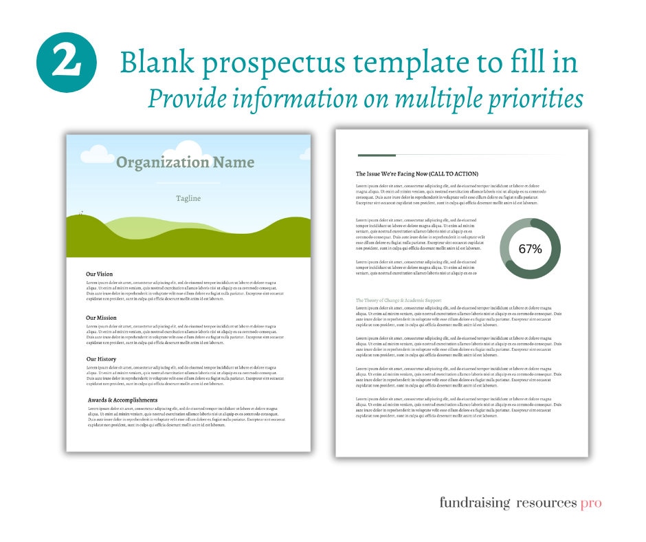 Nonprofit Prospectus Template: A Strategy to Pitch Major Donors - Etsy