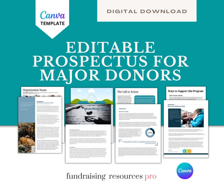 Nonprofit Prospectus Template: A Strategy to Pitch Major Donors - Etsy