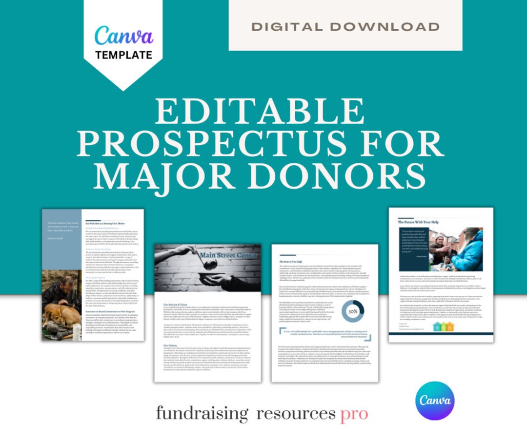 Nonprofit Prospectus Template: A Strategy to Pitch Major Donors - Etsy