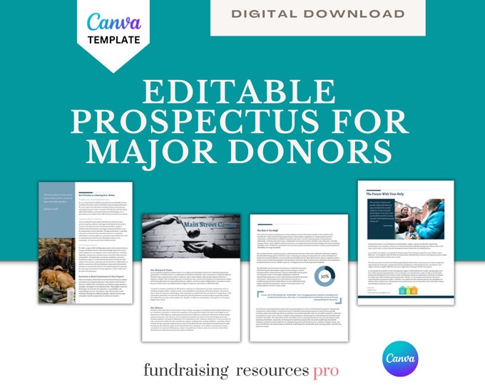 Nonprofit Prospectus Template: A Strategy to Pitch Major Donors - Etsy