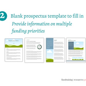 Nonprofit Prospectus Template: A Strategy to Pitch Major Donors - Etsy