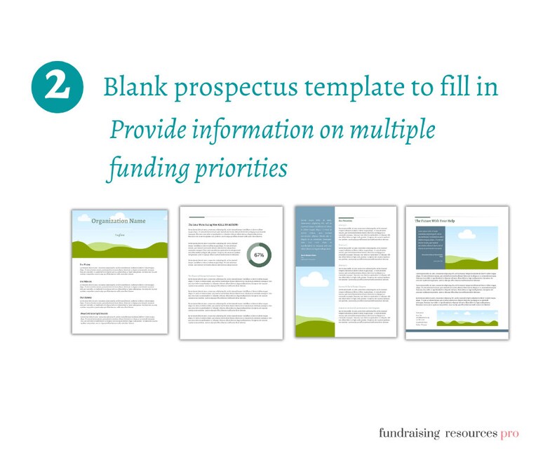 Nonprofit Prospectus Template: A Strategy to Pitch Major Donors - Etsy