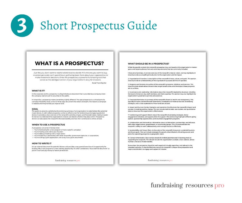 Nonprofit Prospectus Template: A Strategy to Pitch Major - Etsy