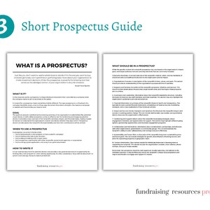 Nonprofit Prospectus Template: A Strategy to Pitch Major Donors - Etsy