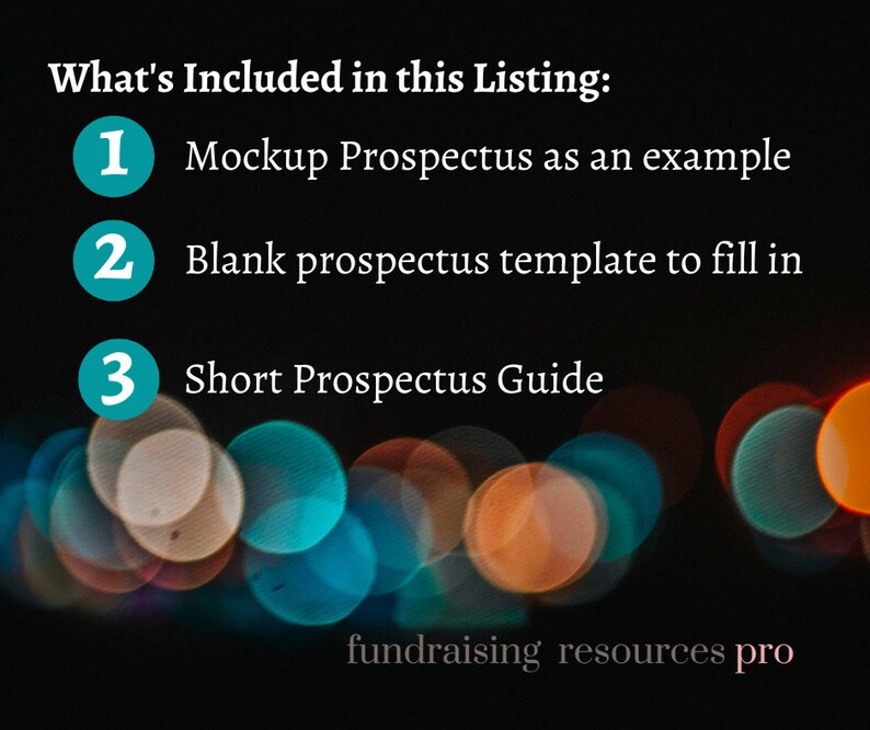 Nonprofit Prospectus Template: A Strategy to Pitch Major Donors - Etsy