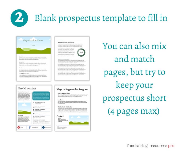 Nonprofit Prospectus Template: A Strategy to Pitch Major Donors - Etsy
