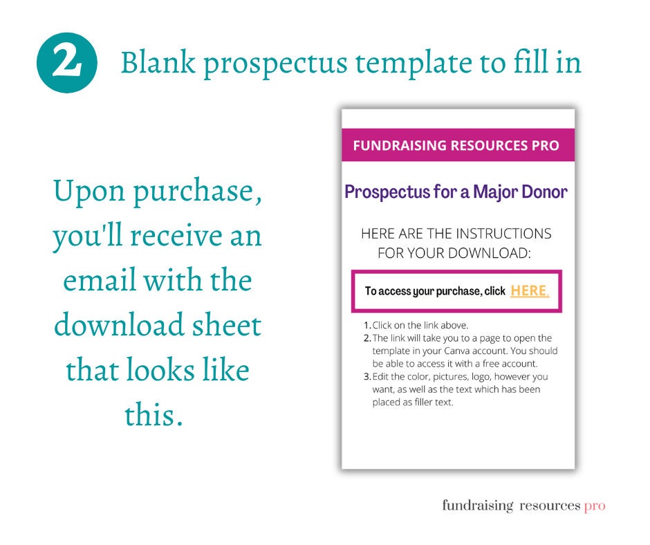 Nonprofit Prospectus Template: A Strategy to Pitch Major Donors - Etsy
