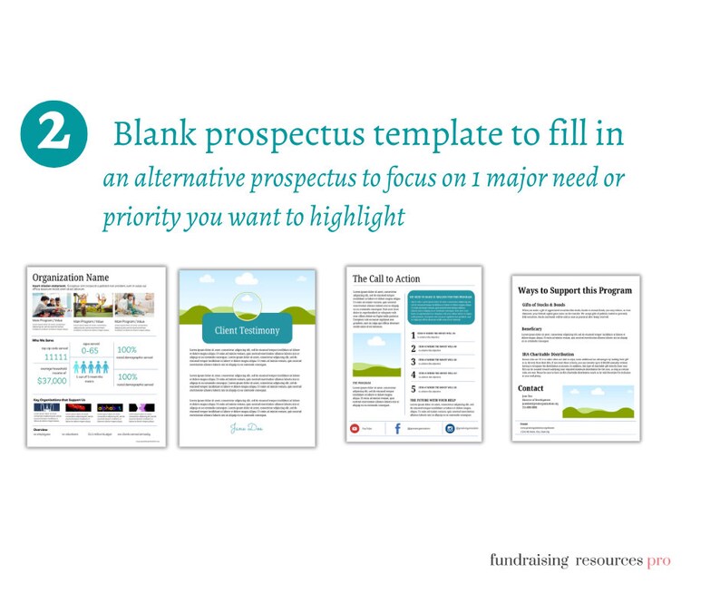 Nonprofit Prospectus Template: A Strategy to Pitch Major Donors - Etsy