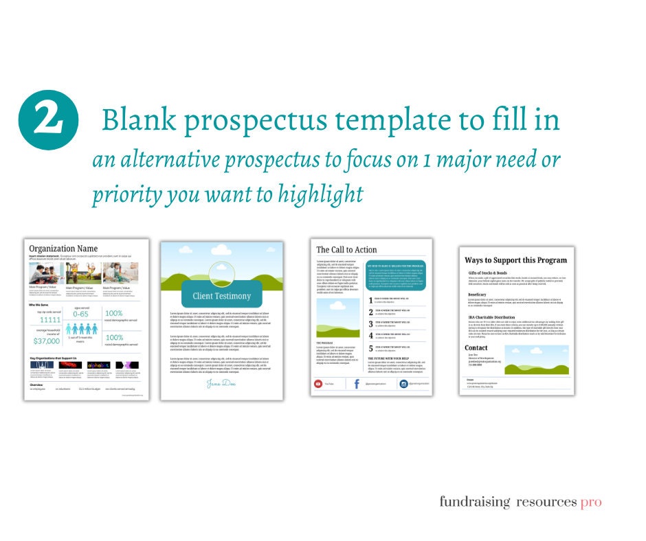 Nonprofit Prospectus Template: A Strategy to Pitch Major Donors - Etsy
