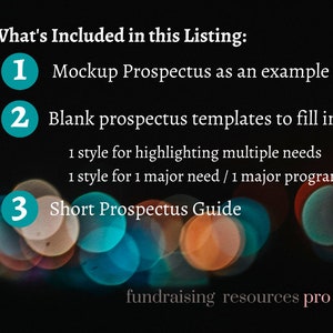 Nonprofit Prospectus Template: A Strategy to Pitch Major Donors - Etsy