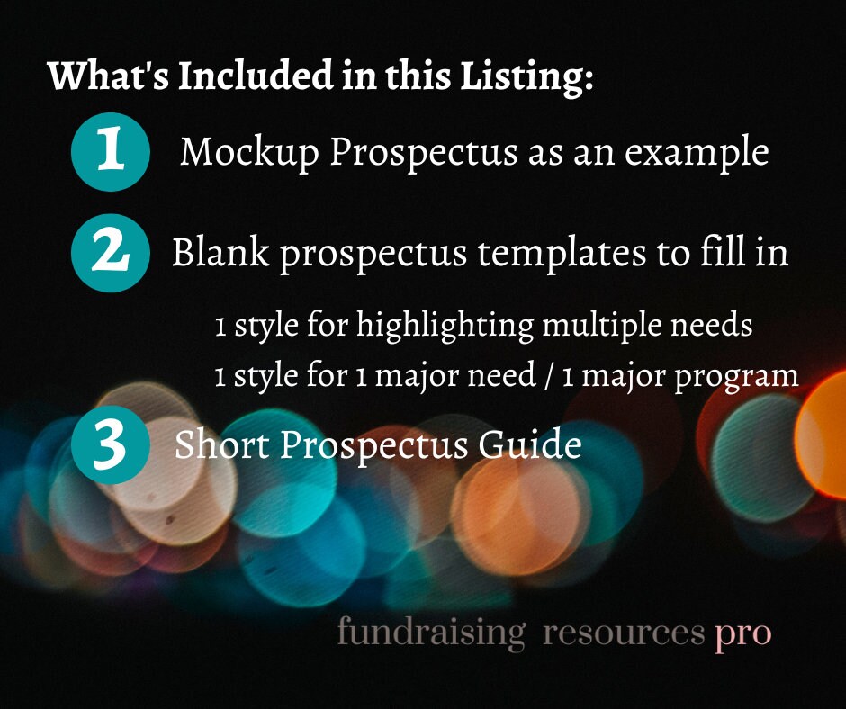 Nonprofit Prospectus Template: A Strategy to Pitch Major Donors - Etsy