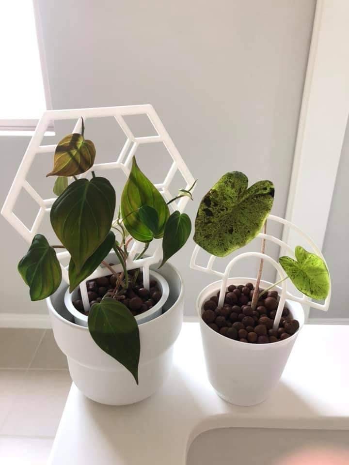 Arches / Rainbow 3D Printed Plant Trellis - Etsy