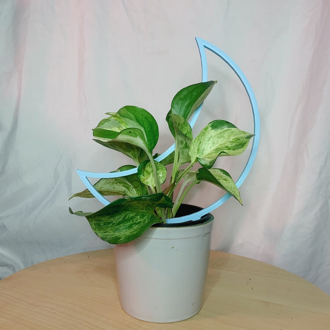 Moon 3D Printed Plant Trellis / Indoor Houseplant Trellis - Etsy