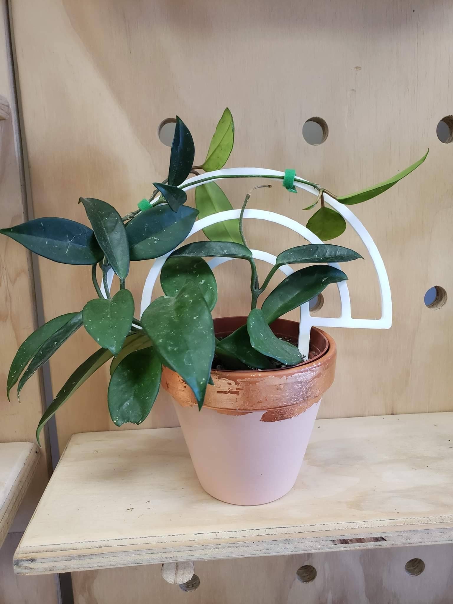 Arches / Rainbow 3D Printed Plant Trellis - Etsy