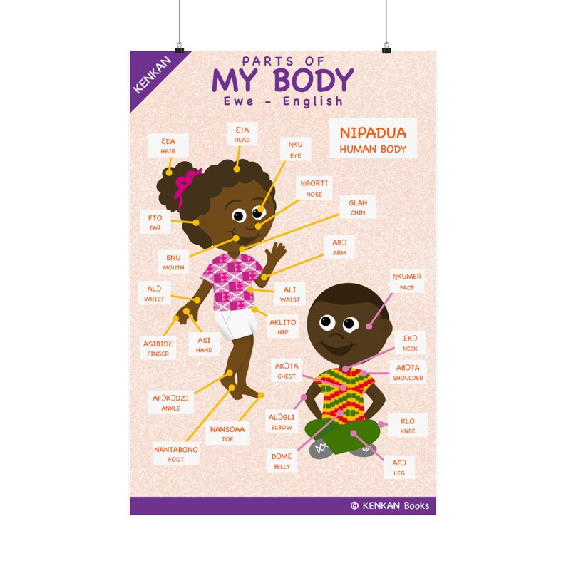 EWE ENGLISH Parts of the Body Poster - Etsy