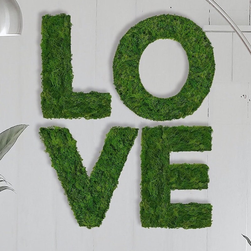 Moss Letters - Etsy