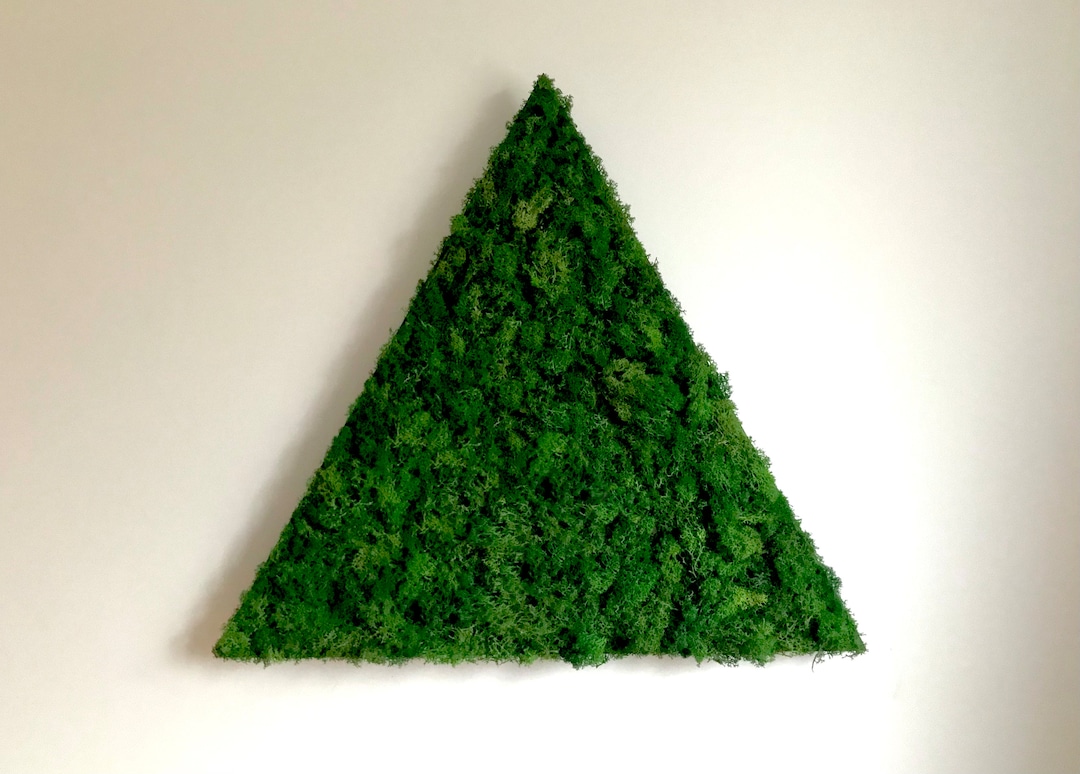 Moss Picture “triangle” Vertical Garden Made of Moss - Etsy