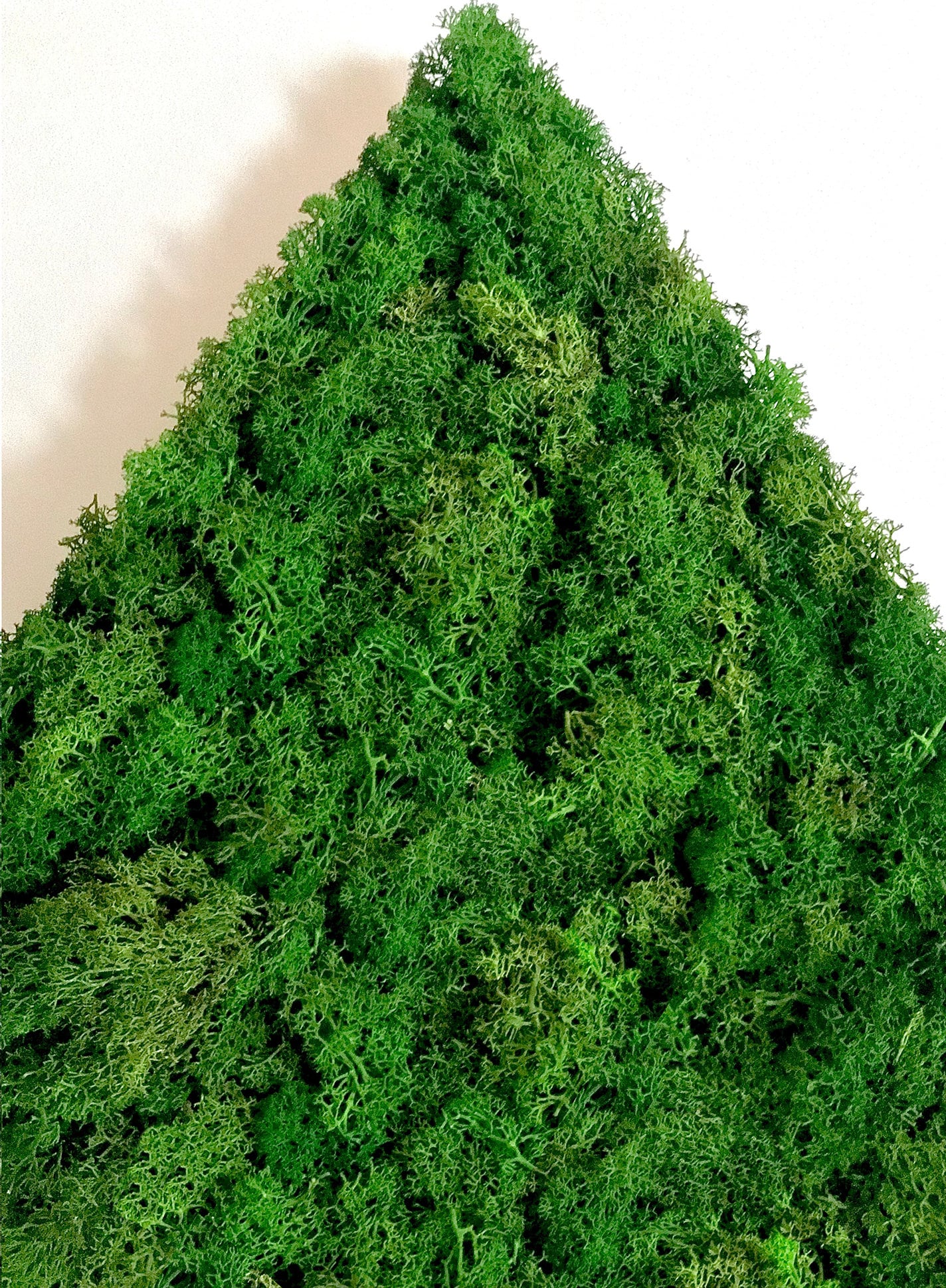 Moss Picture “triangle” Vertical Garden Made of Moss - Etsy