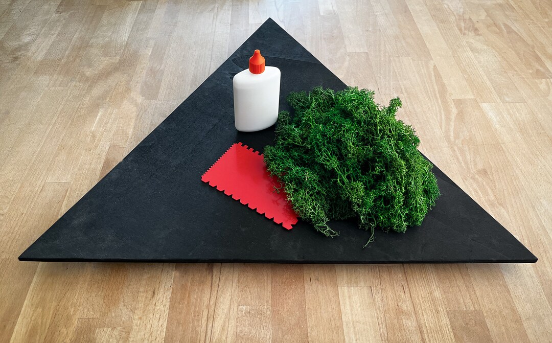 DIY Moss Picture “triangle”, Complete Kit for DIY, the Ideal Gift - Etsy