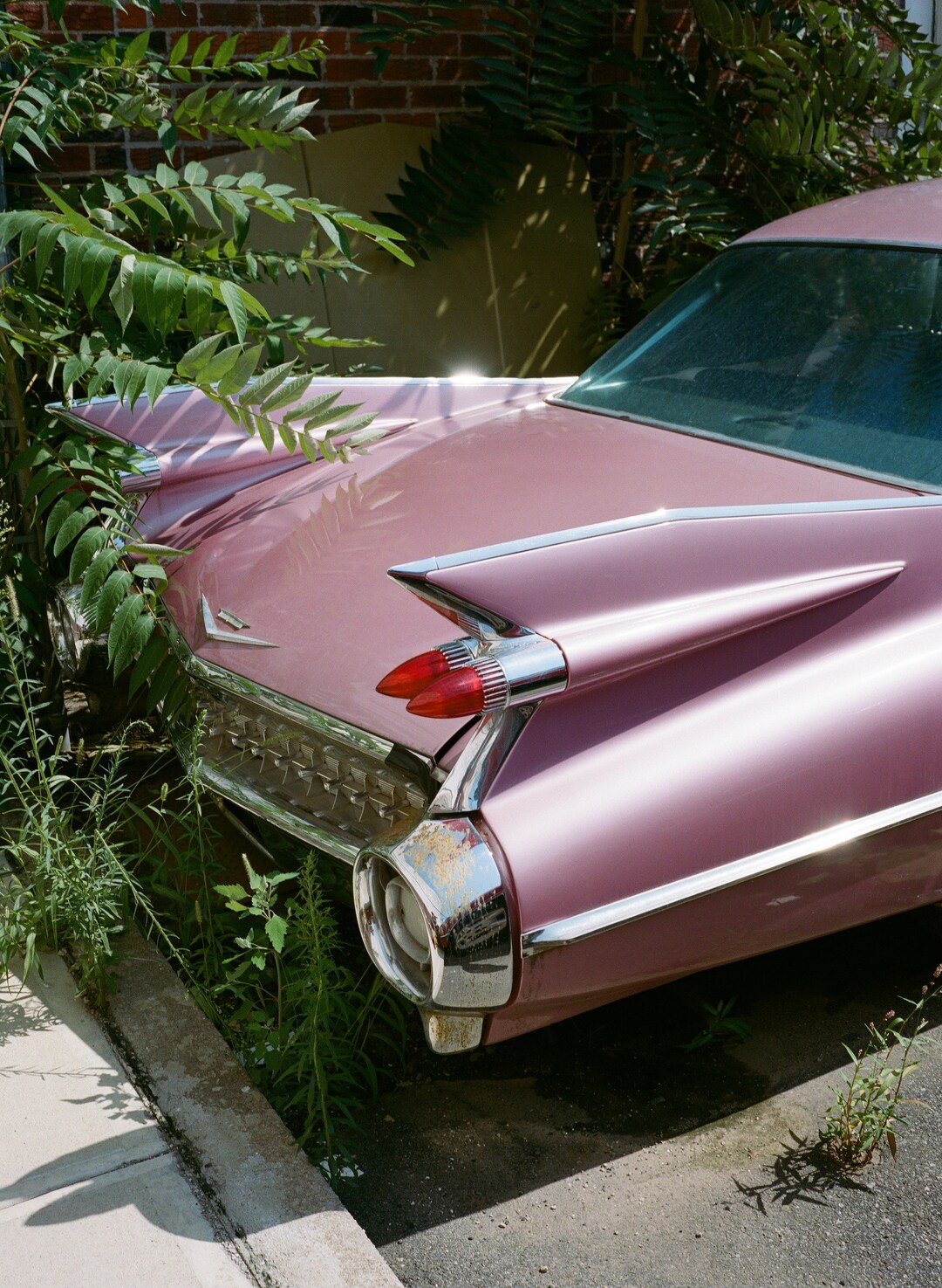 The Pink Time Machine - Etsy