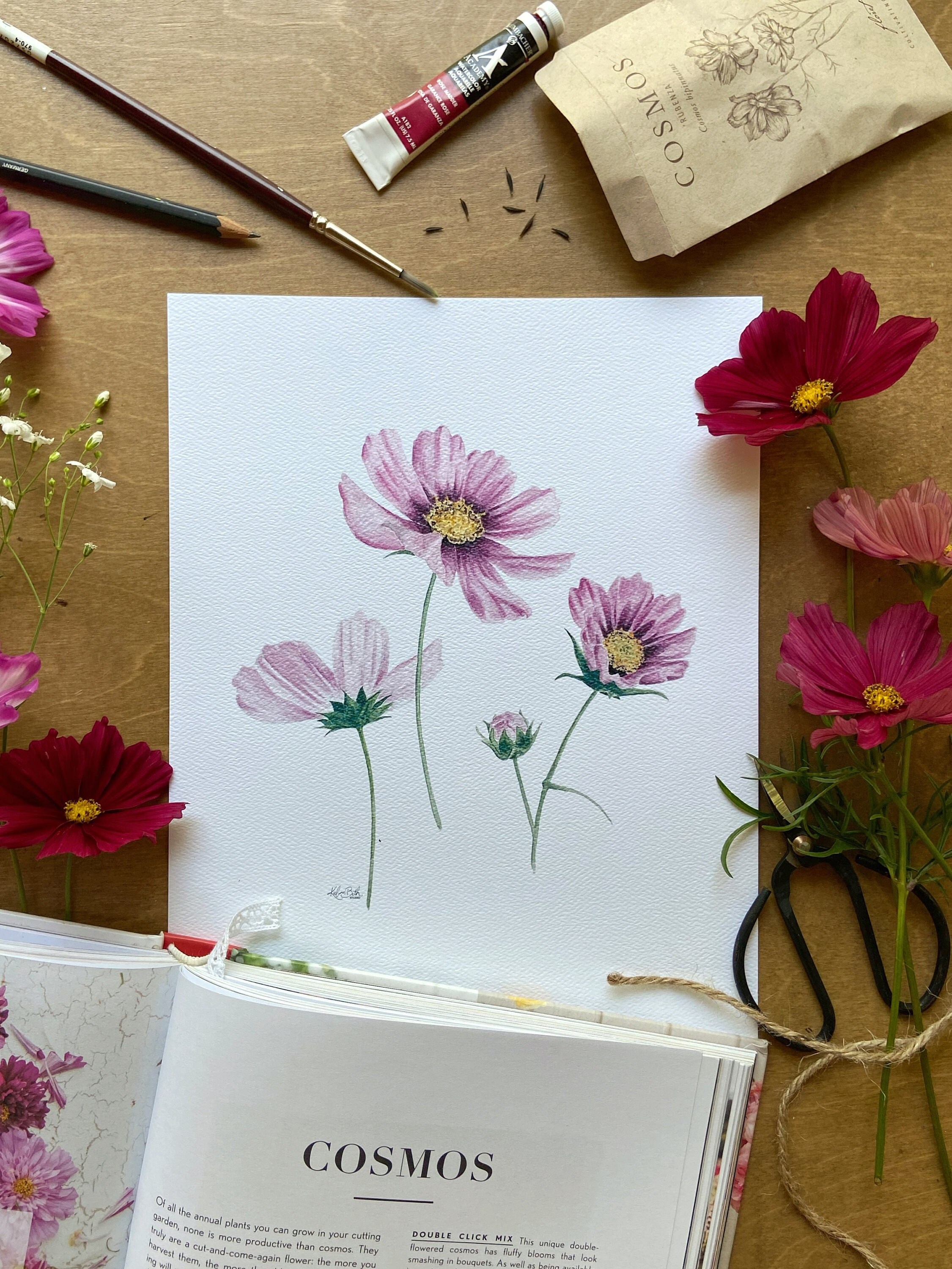 Cosmo Art Print Cosmo Illustration Pink Cosmo Floral Watercolour Print ...