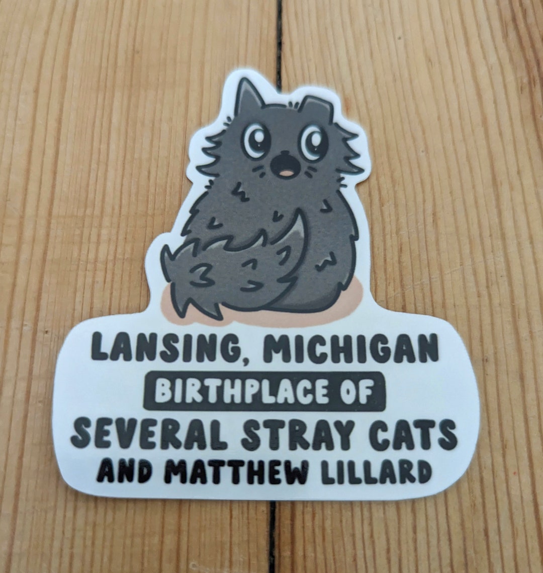 Lansing, Birthplace of Several Stray Cats and Matthew Lillard - Cute ...