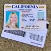 Drivers License Editable Template | Kids Play Driver License | Editable ...
