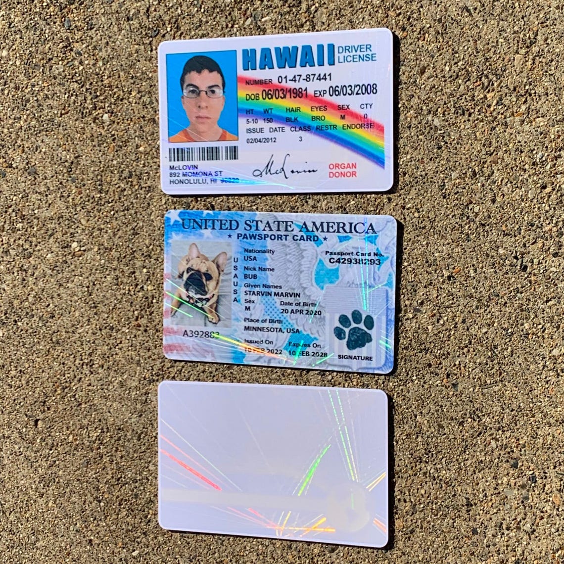 Hologram Overlays - Web & Earth Id Card Teslin / PVC Id Card - Etsy