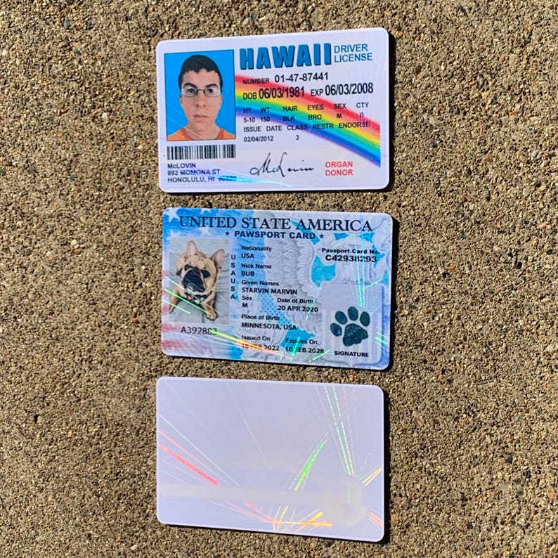 Hologram Overlays - Web & Earth Id Card Teslin / PVC Id Card - Etsy