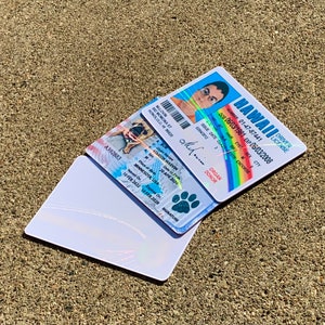Hologram Overlays - Web & Earth Id Card Teslin / 100 Pack / PVC Id Card ...