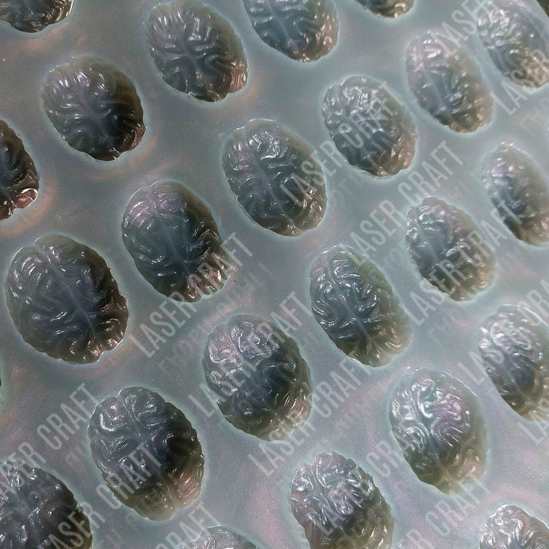 Brain Candy Mold - Etsy