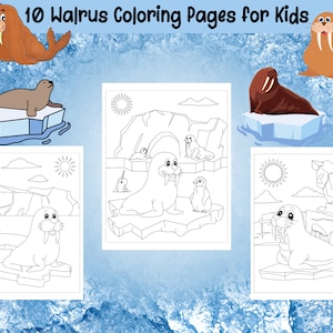 Walrus Coloring Pages for Kids - 10 Printable Pages - Cute Walrus ...