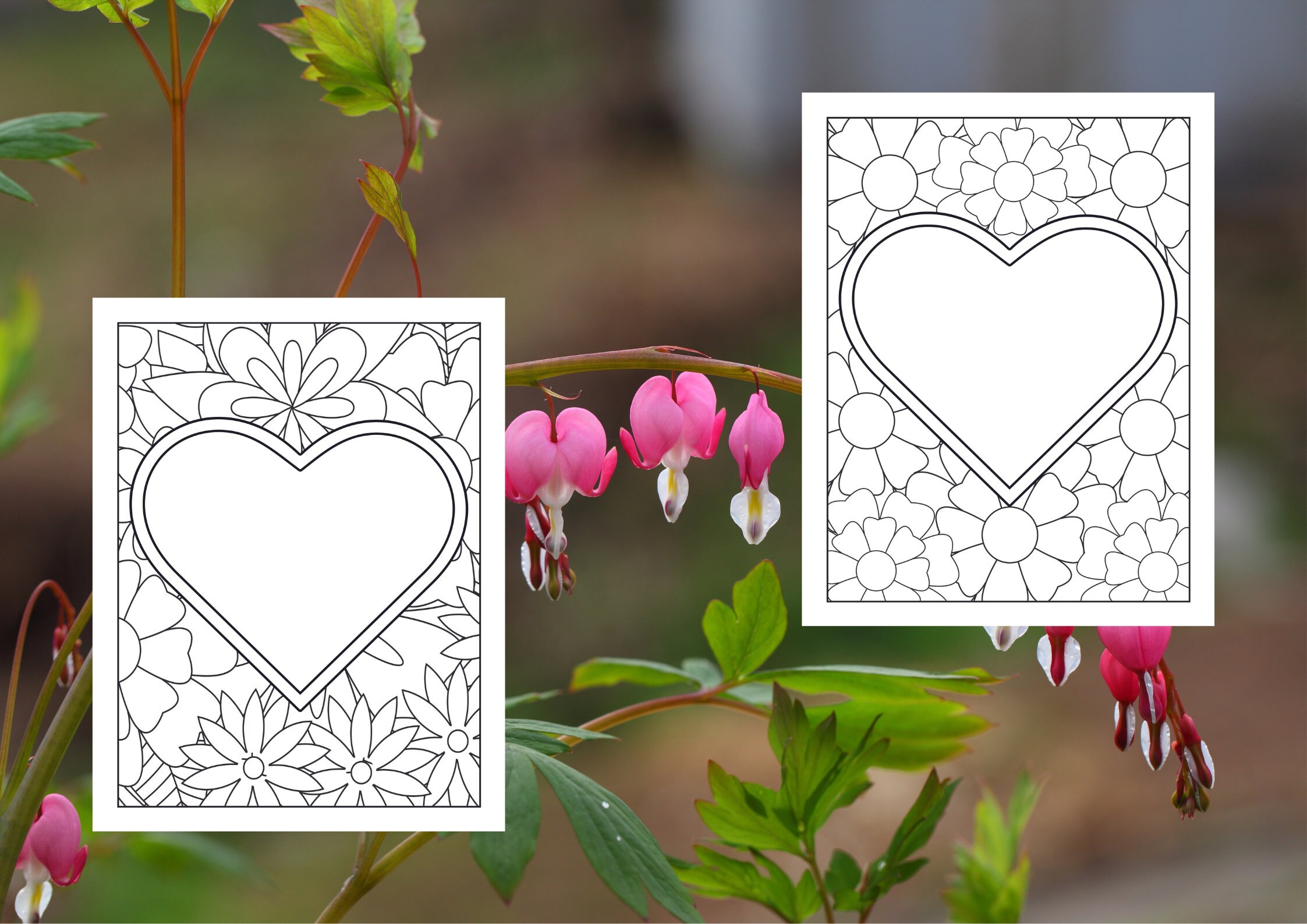 Flowers Frame Heart Coloring Pages, 24 Printable Pages, Easy and ...