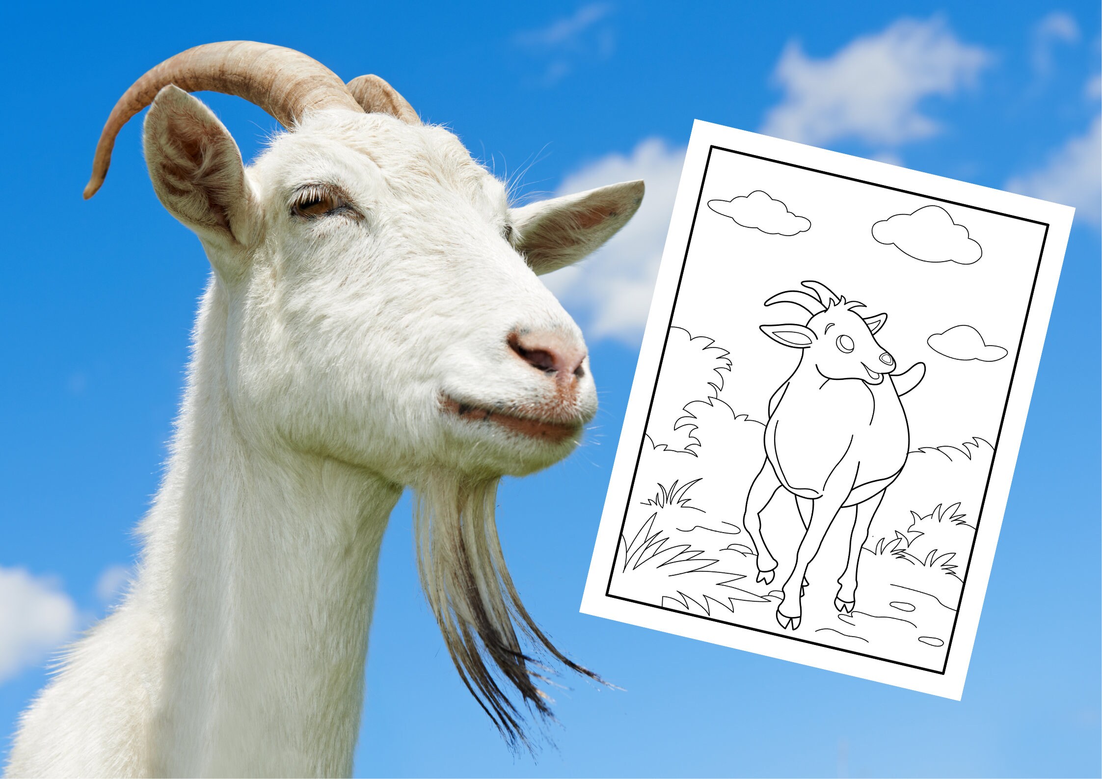 Goat Coloring Pages for Kids, Boys and Girls, 24 Printable Pages, Cute ...