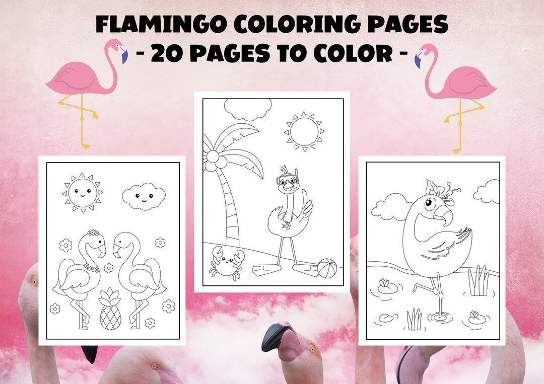 Flamingo Coloring Pages for Kids, 20 Printable Pages, Cute Flamingo ...