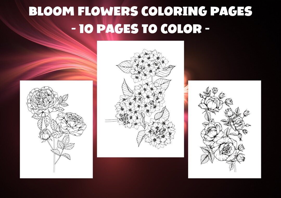 Bloom Flowers Coloring Pages, Spring Blooms Flower Coloring Book for ...