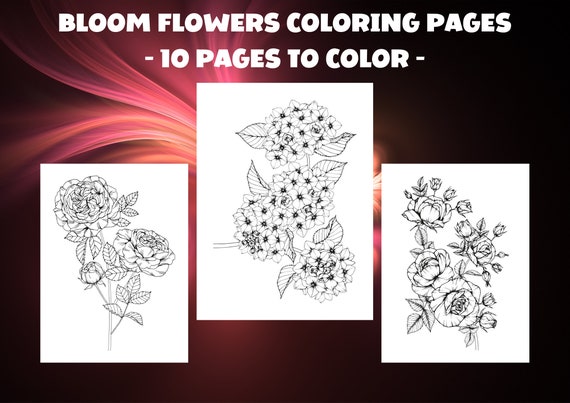 Bloom Flowers Coloring Pages Spring Blooms Flower Coloring - Etsy