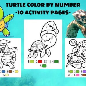 Turtle Color by Number: 10 Printable Activity Pages (PDF File) - Etsy